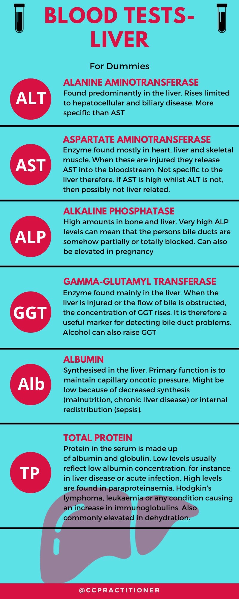 Liver Function Tests – critical care notes