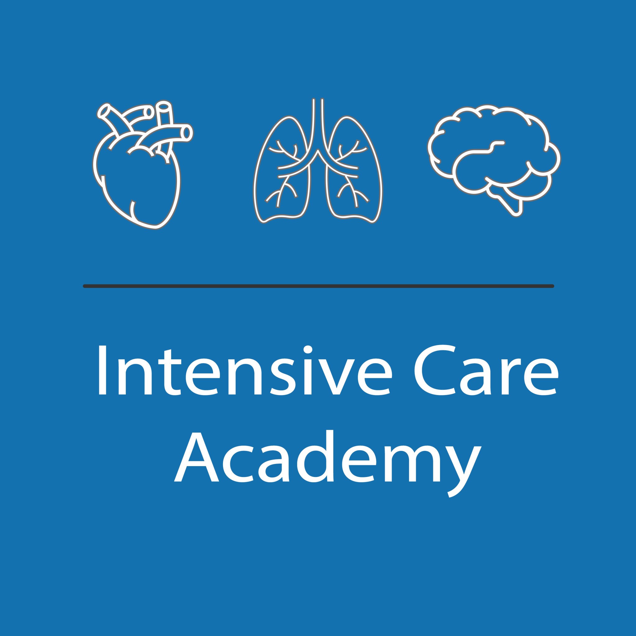 My Rounding Sheet – critical care notes